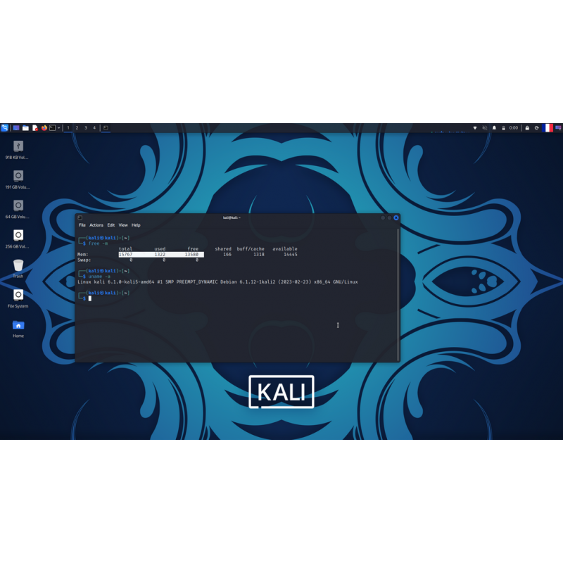Clé USB Kali Linux 2023.1 avec persistance des données