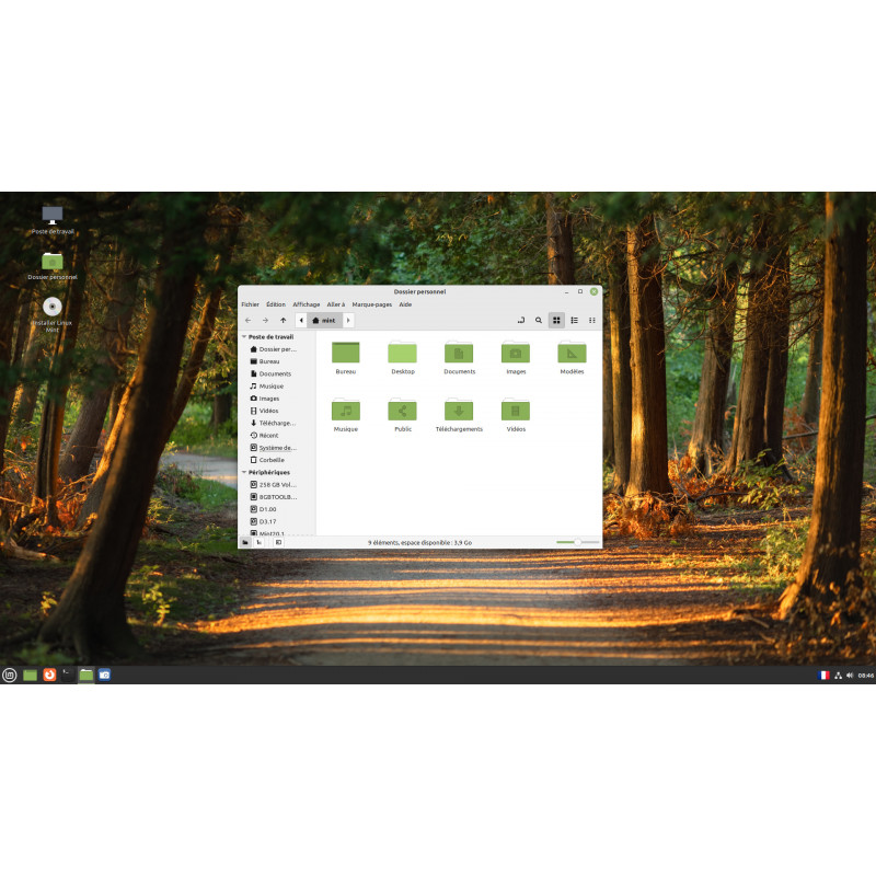 Clé USB Linux MultiBoot Préparée Bootable Ubuntu, Lite, Mint, Budgie