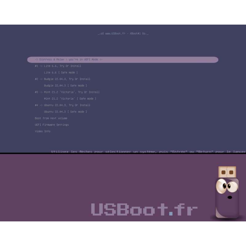 Clé USB Linux MultiBoot Préparée Bootable Ubuntu, Lite, Mint, Budgie