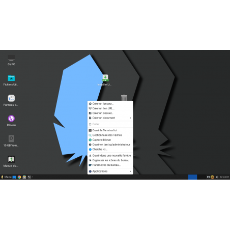 Clé USB Linux MultiBoot Préparée Bootable Ubuntu, Lite, Mint, Budgie