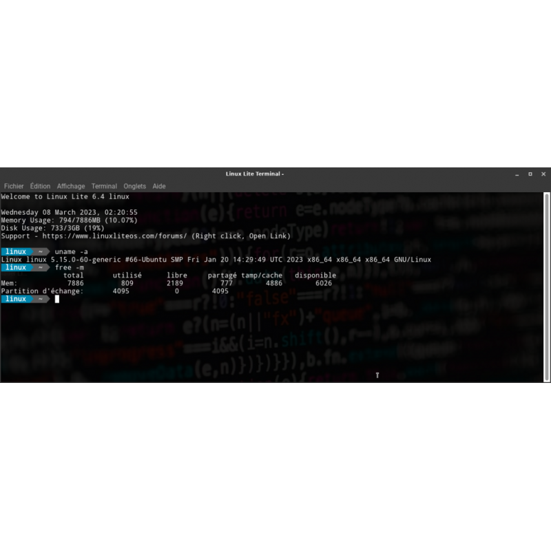 Clé USB Préparée Bootable de Linux Lite OS 6.6