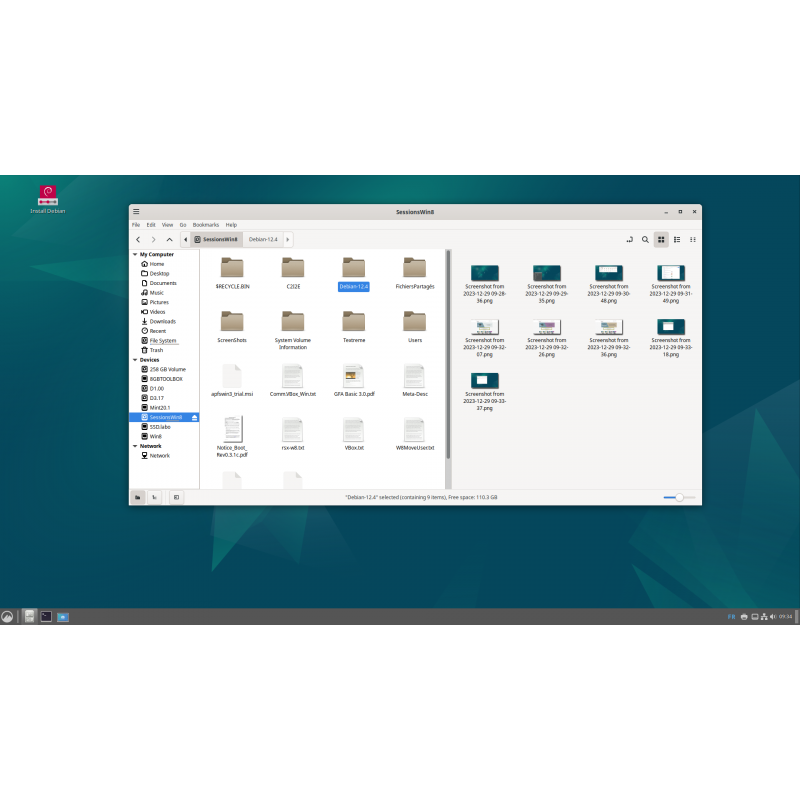 DVD Linux Bootable Debian 12.4 Bookworm Installation & Test Live