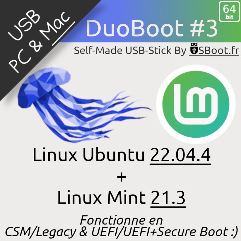 Clé USB Linux MultiBoot Ubuntu 22.04.4 + Mint 21.3