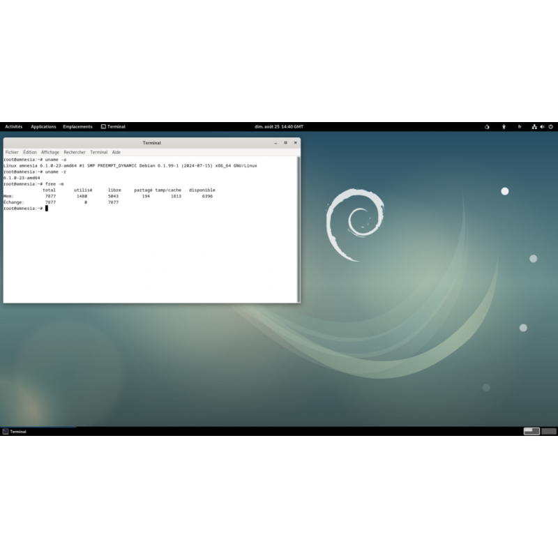 Clé USB préparée bootable de Linux Tails 6.6 Tor OS