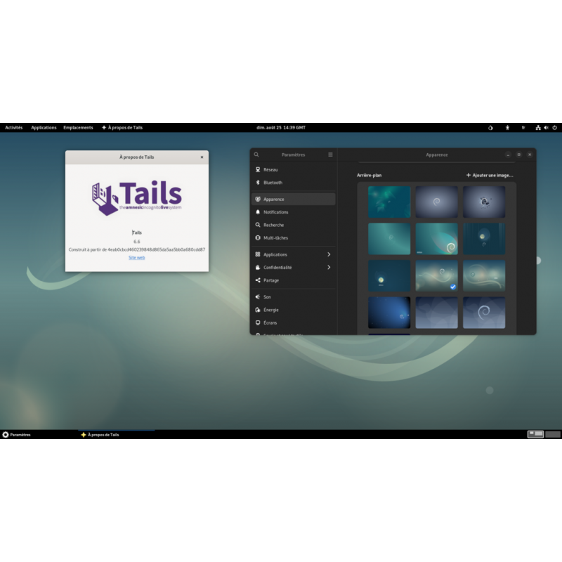 Clé USB préparée bootable de Linux Tails 6.6 Tor OS