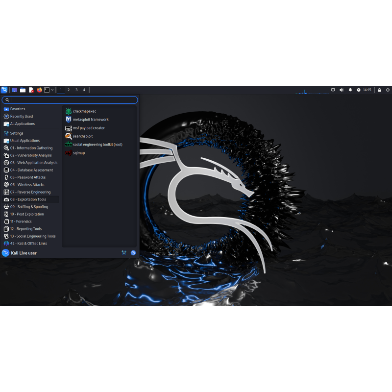 Clé USB Préparée Bootable de Kali Linux Live 2024.2