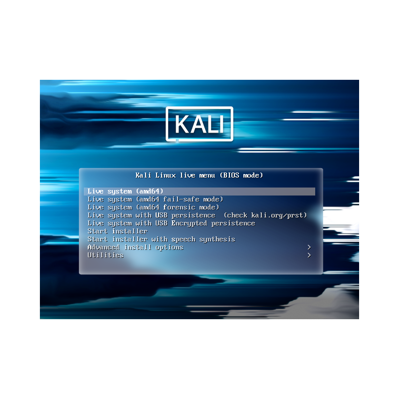 Clé USB Préparée Bootable de Kali Linux Live 2024.2