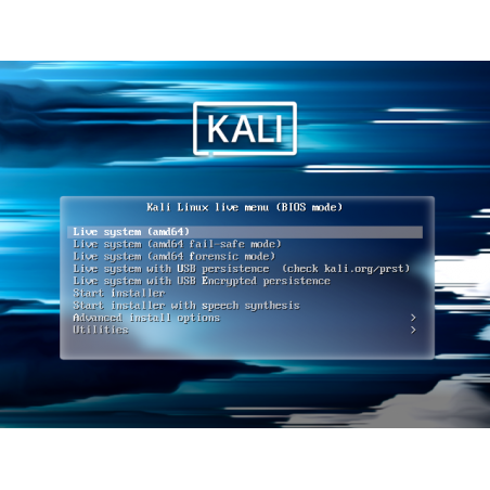 Clé USB Préparée Bootable de Kali Linux Live 2024.2