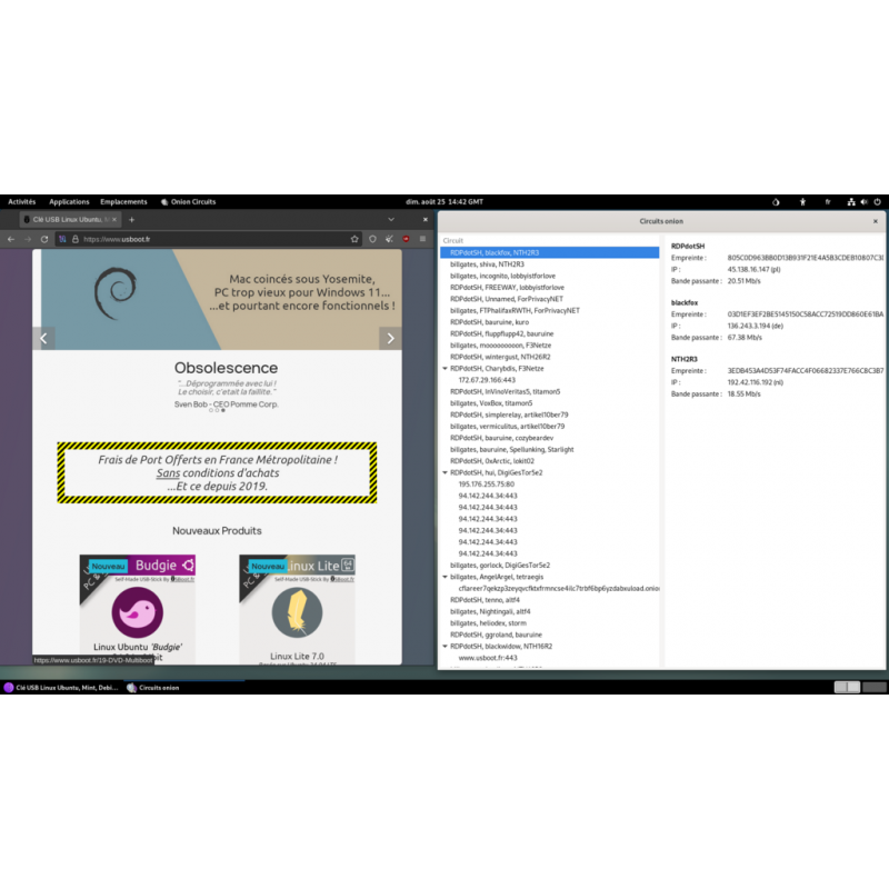 Clé USB Préparée Bootable de Linux Tails 6.6 32Go + Persistance