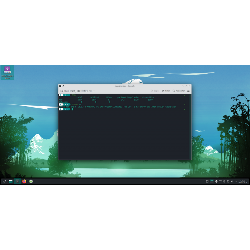DVD Préparé Bootable de Linux Manjaro 24.1