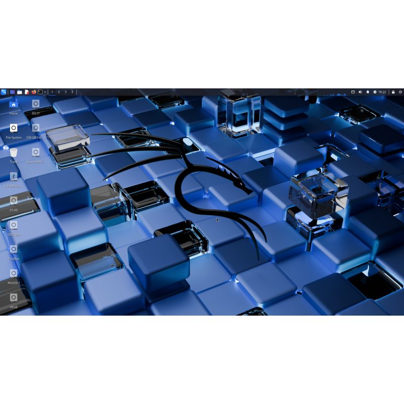 Kali Linux Live 2025.1c - Cléf USB Bootable Live & Install