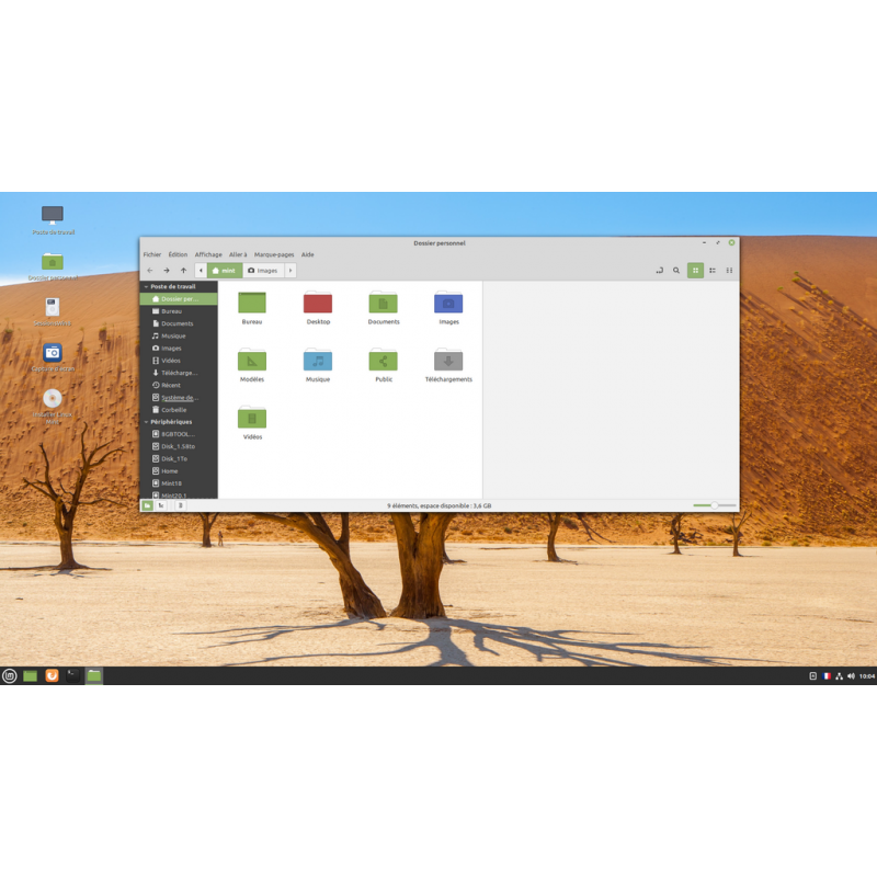 DVD Linux Mint 20.3 DVD Linux Mint 20.3